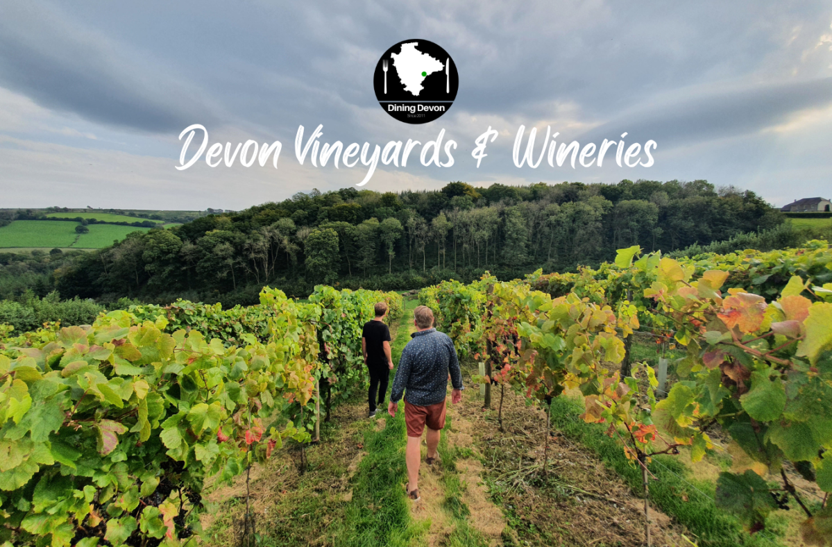 Devon Vineyards & Wineries – Dining Devon