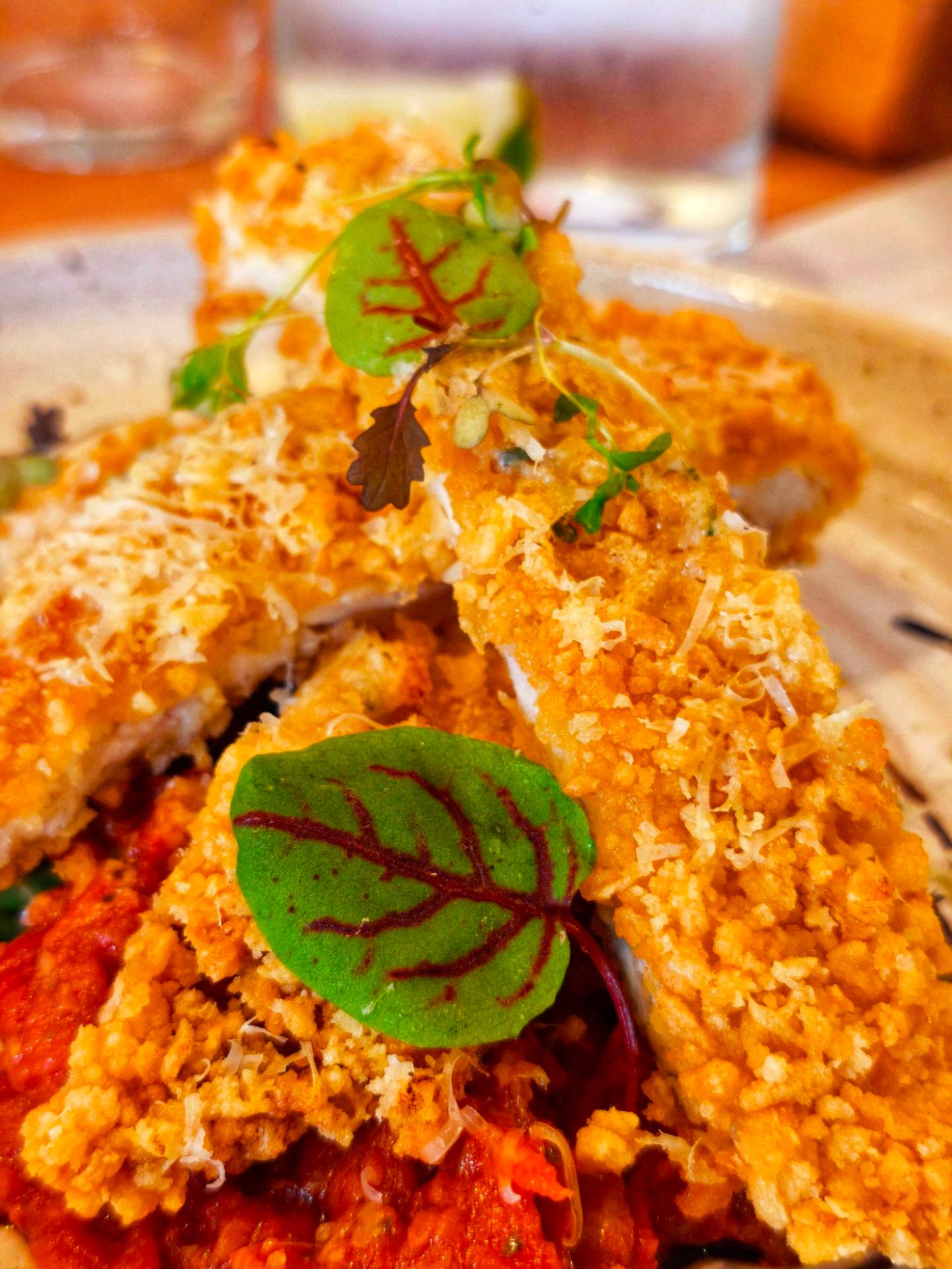 Arcadia by Utopian, Northernhay Place in Exeter – Dining Devon